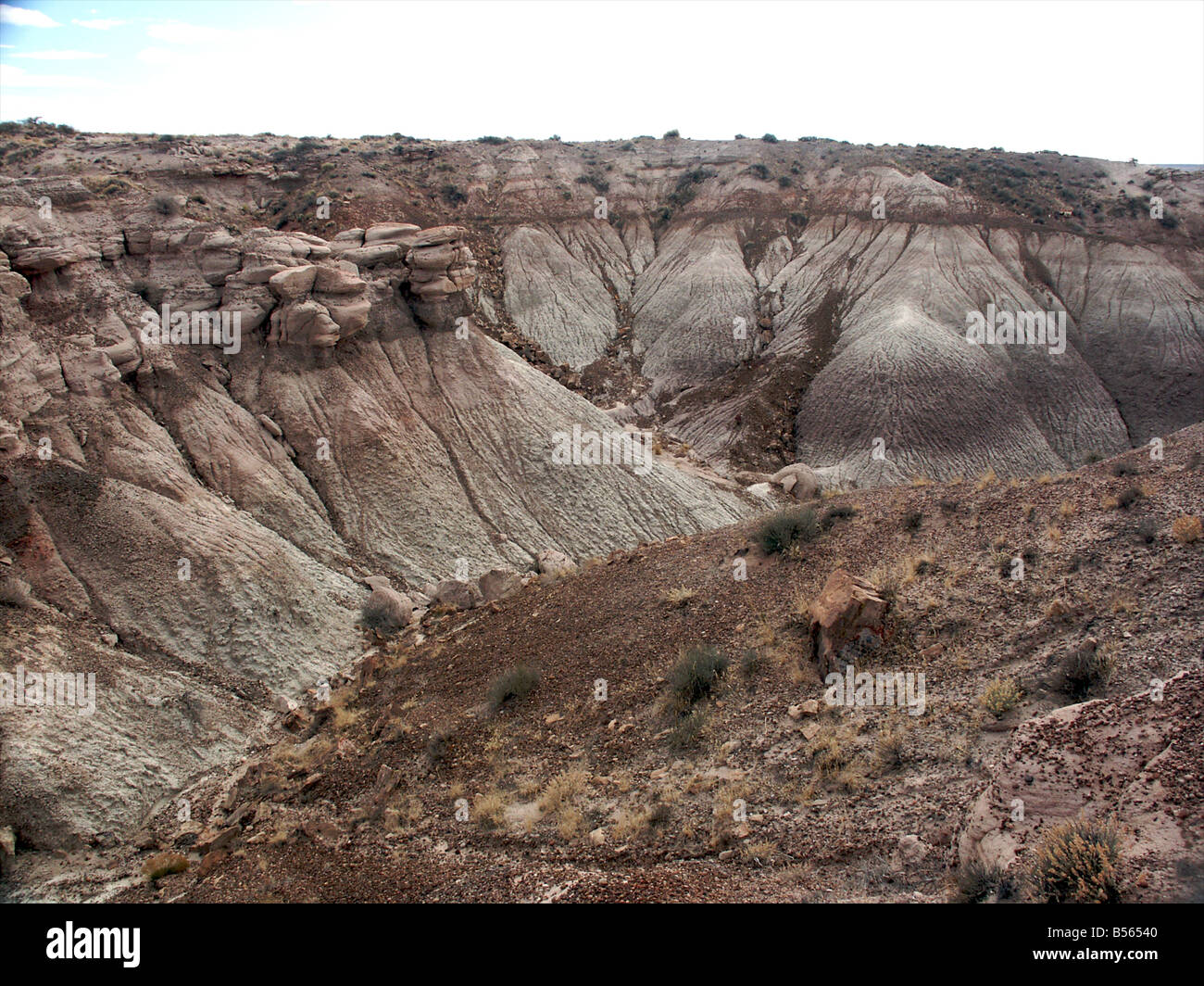 Grey Brown Rocks in a bizarre landscape, Petrified Forest National Park ...
