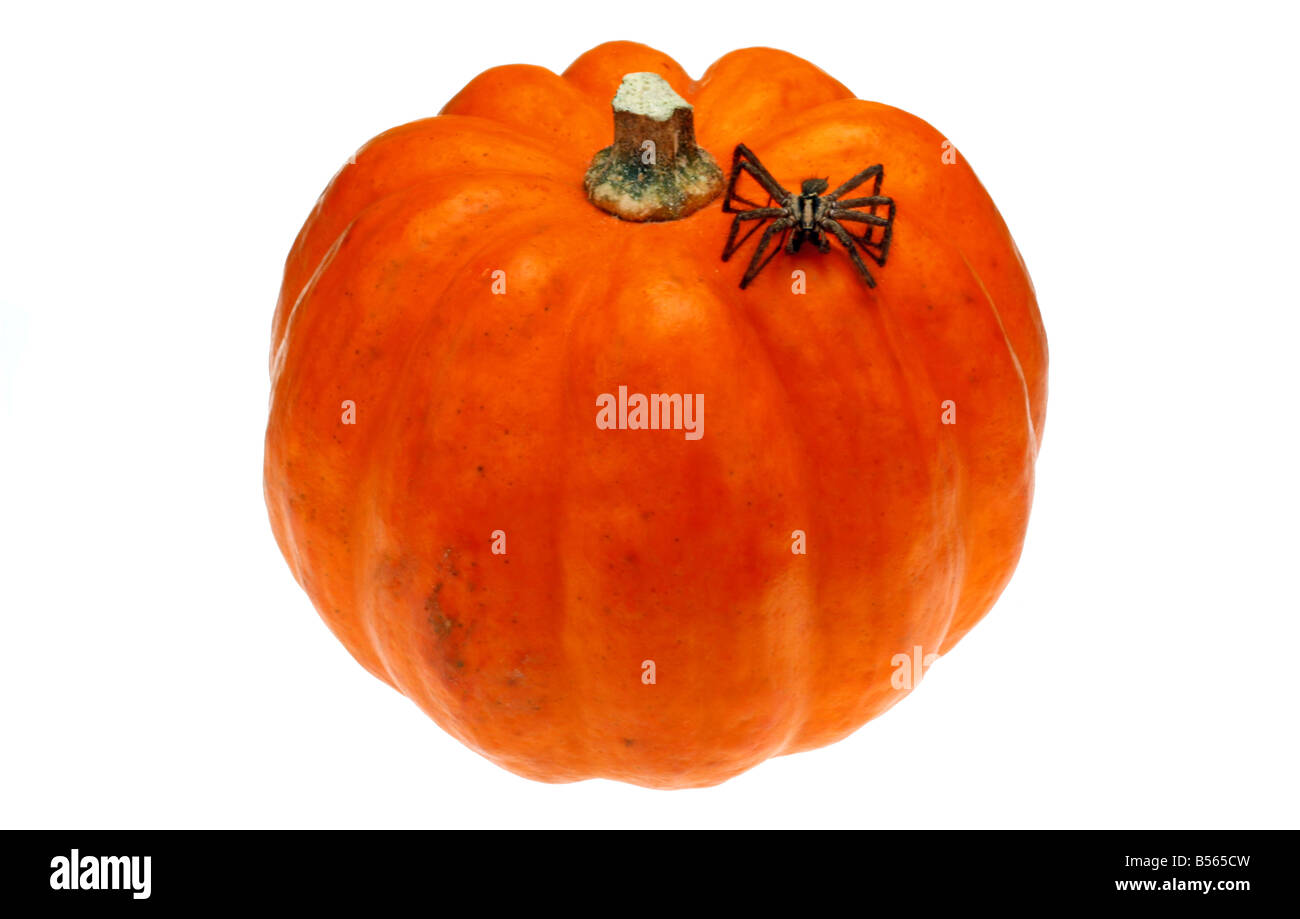pumpkin with spider Stock Photo - Alamy