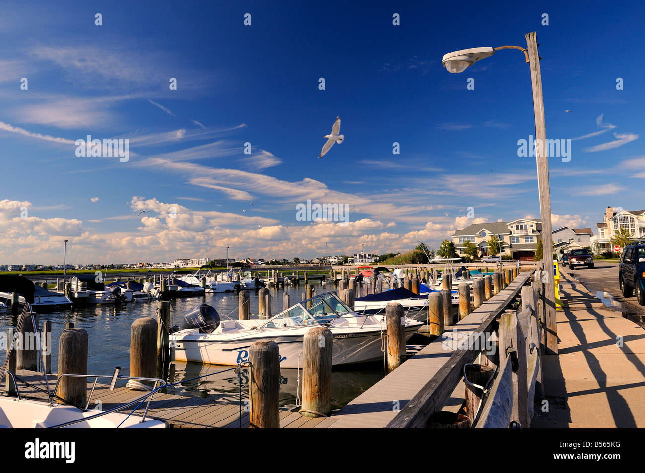 Harbor with boats Stock Photo - Alamy
