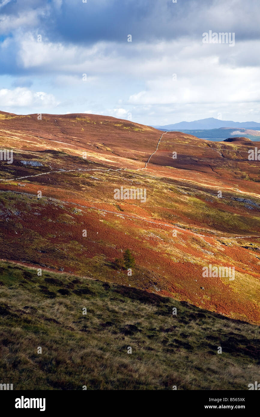 Hillside moorland in the autumn time from viewed Craig Var Perthshire ...