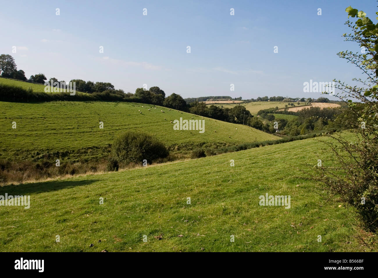 Rural devon hi-res stock photography and images - Alamy