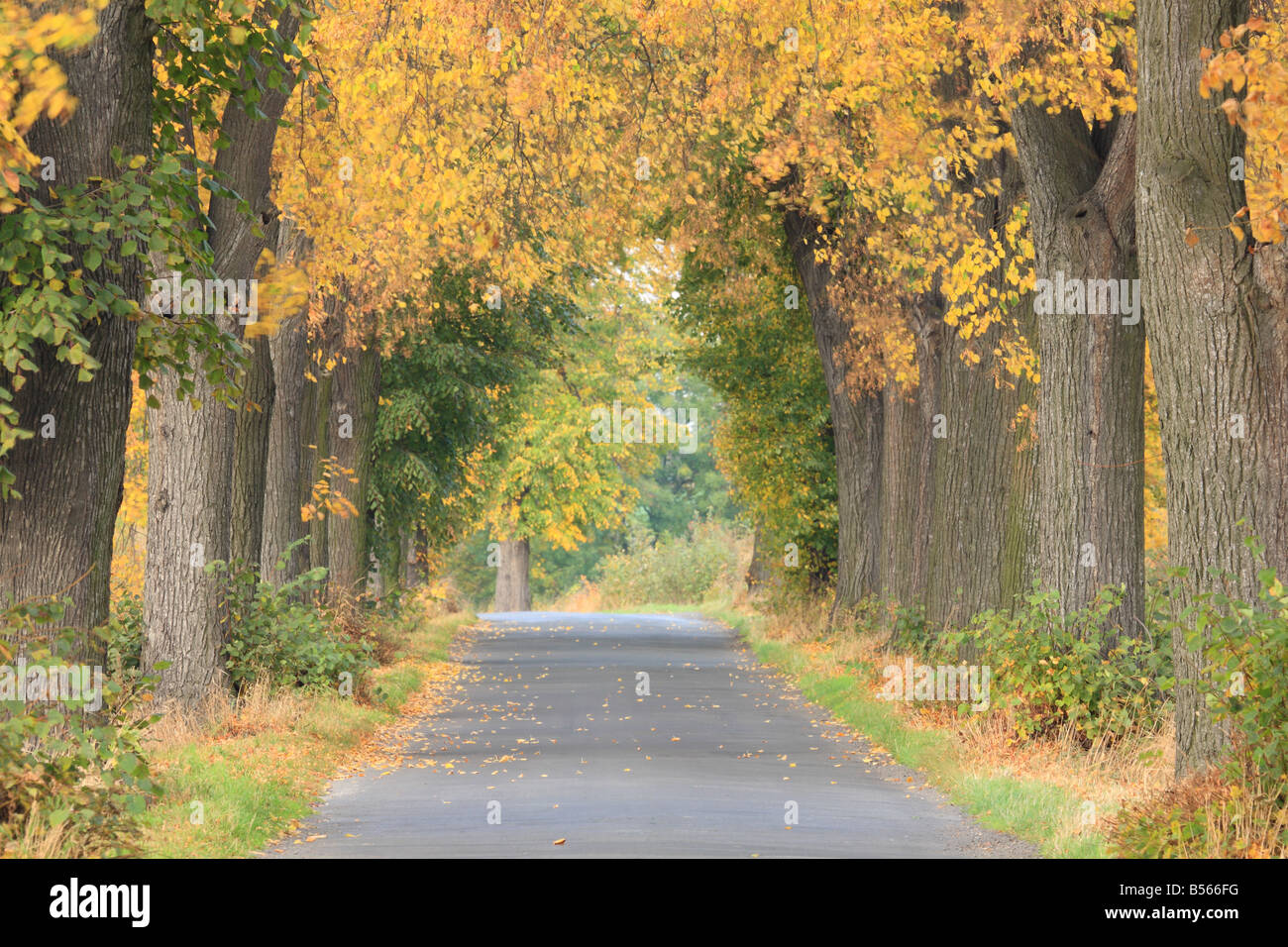 Turning Lane High Resolution Stock Photography and Images - Alamy