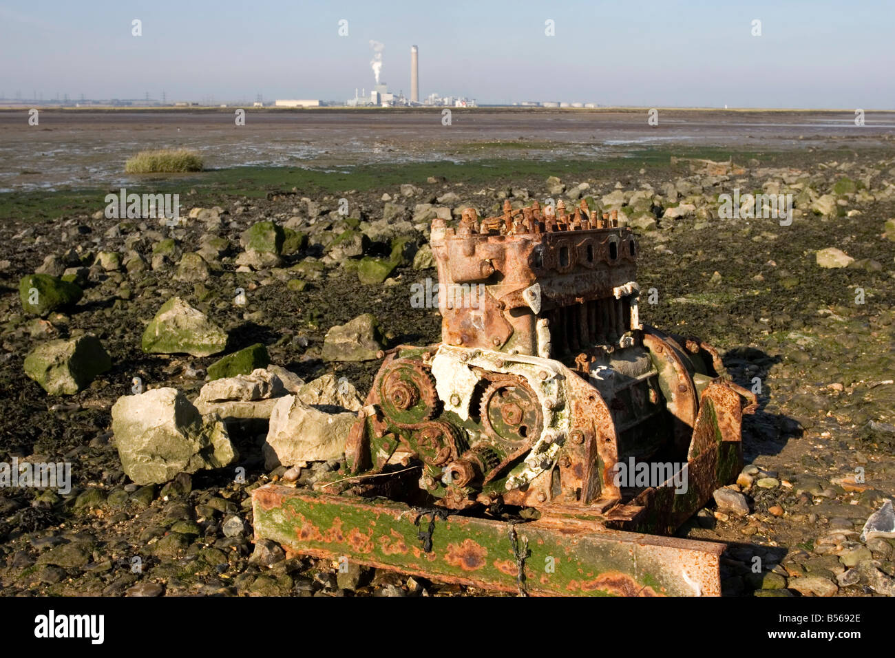 Shoreline detritus hi-res stock photography and images - Alamy
