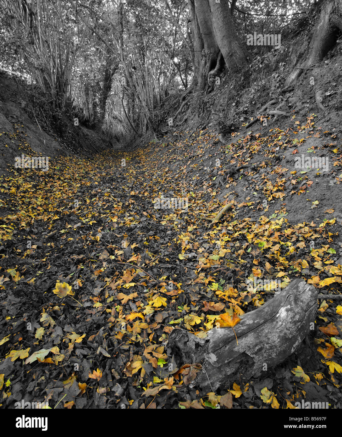 Pathway abstract colourful hi-res stock photography and images - Alamy