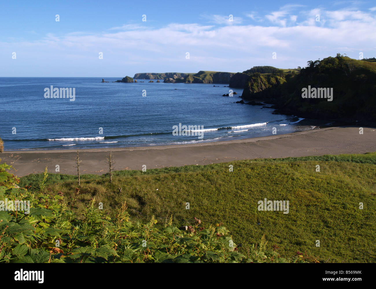 Pacific ocean bay Stock Photo - Alamy