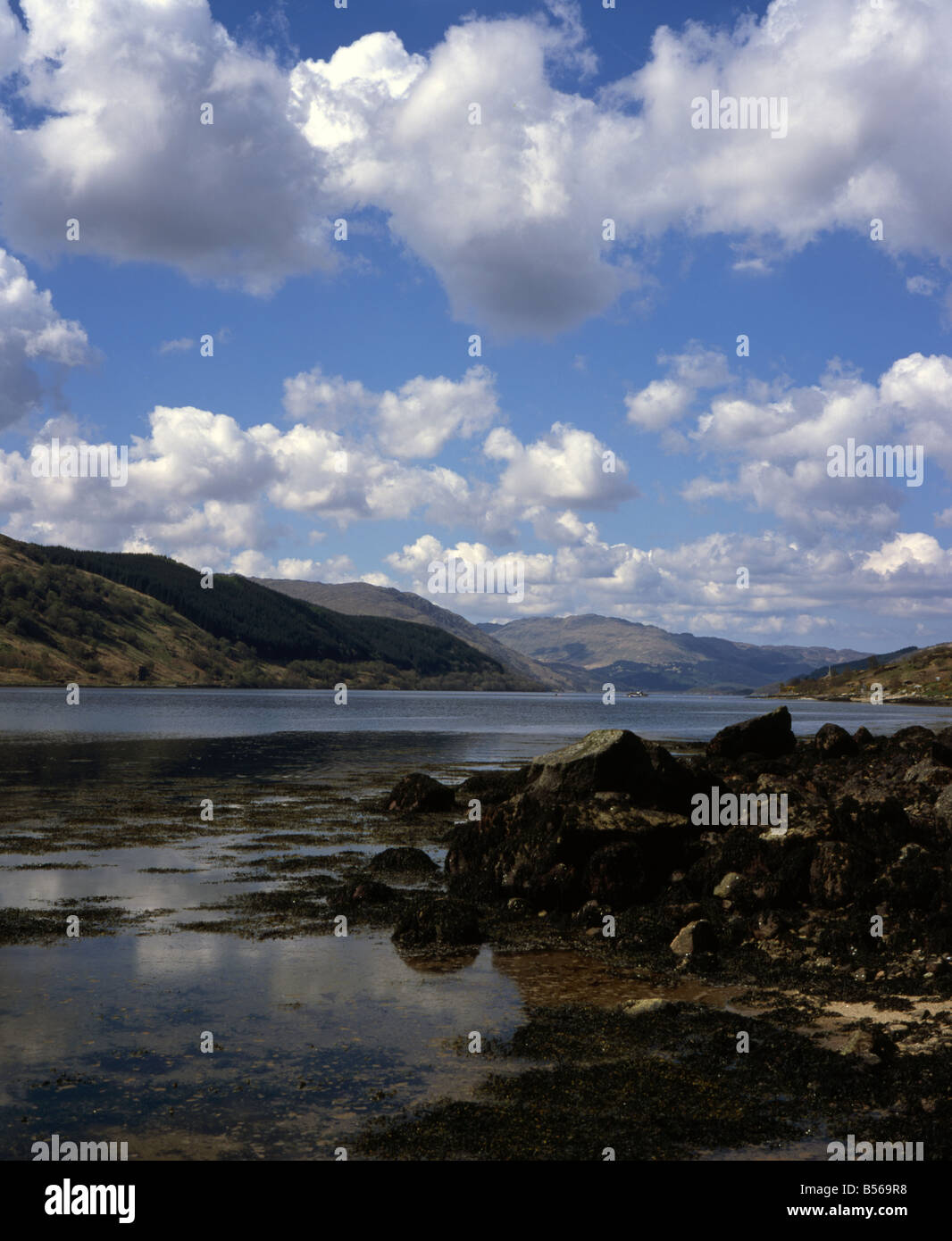 Loch sunart scotland strontian hi-res stock photography and images - Alamy