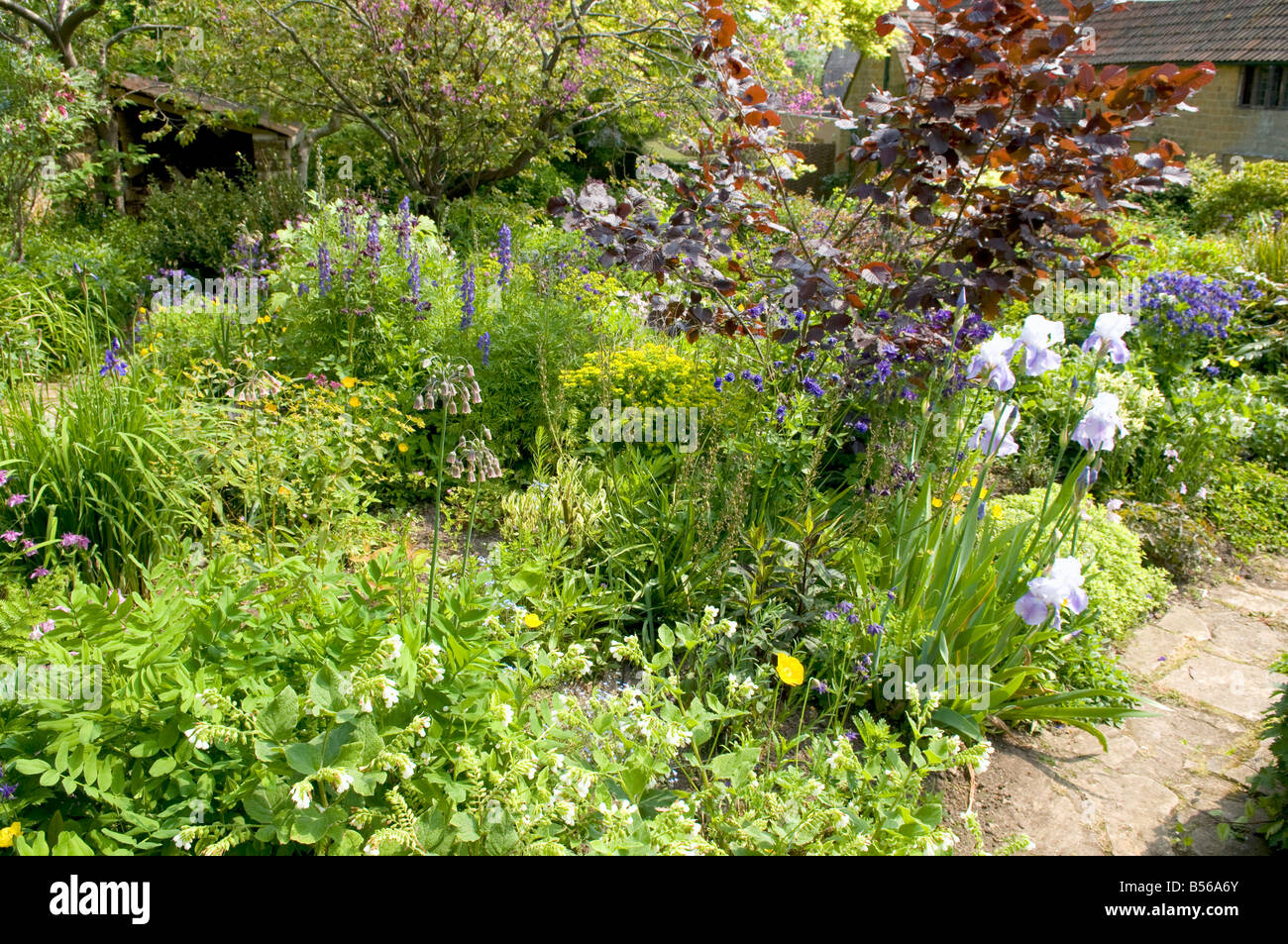 Typical English cottage garden Stock Photo - Alamy