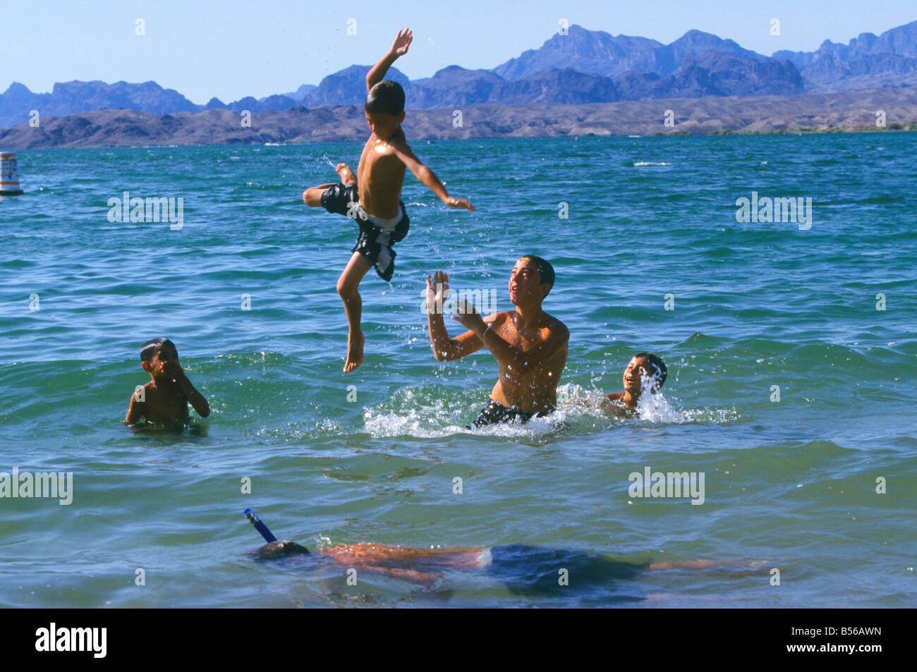 Lake havasu arizona swimming hi-res stock photography and images - Alamy