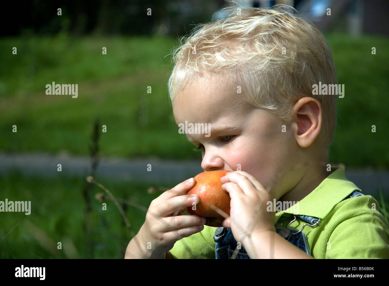 Little kid taking a bite off a juicy apple Stock Photo - Alamy