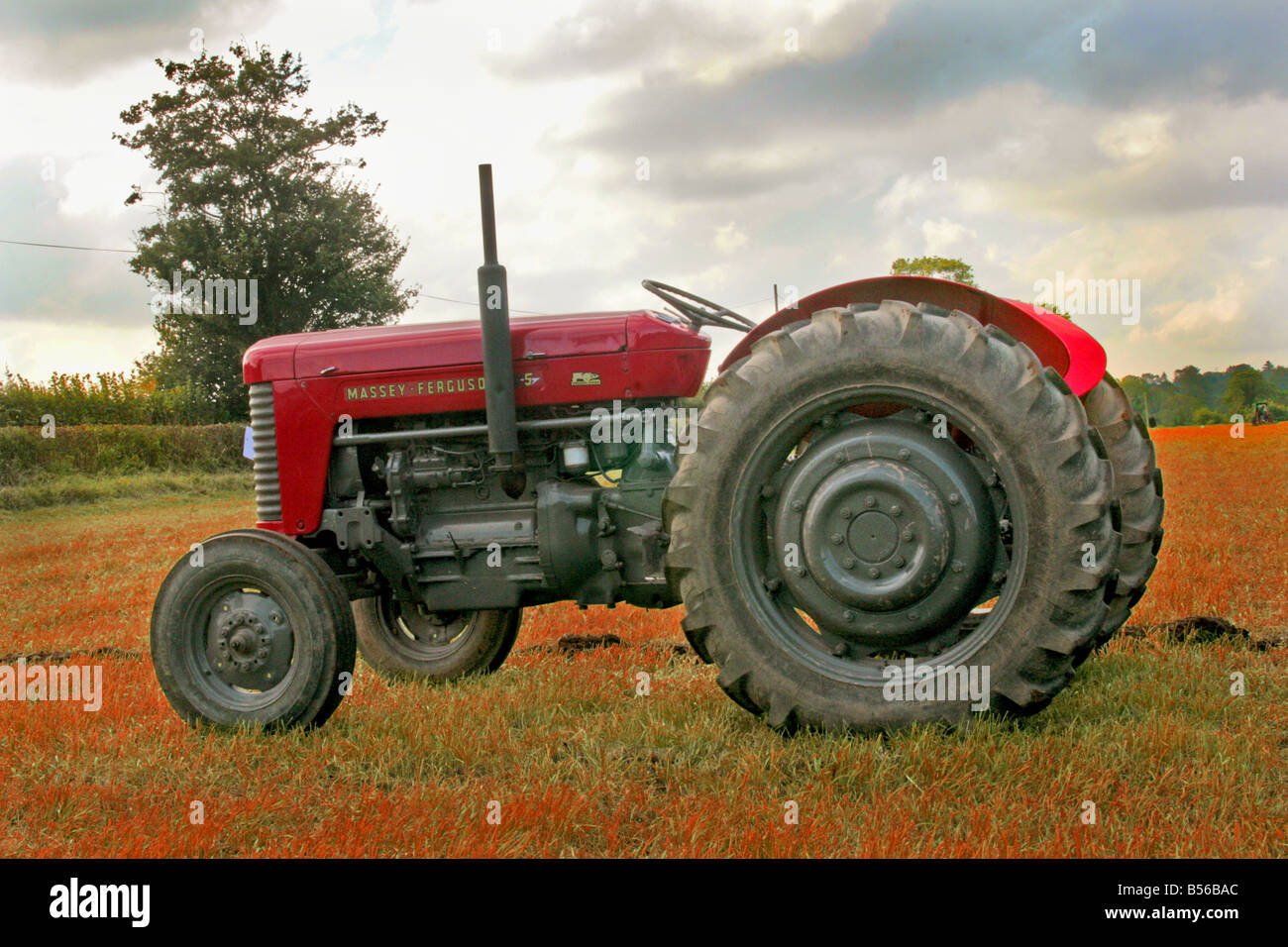 Restored massey ferguson tractor hi-res stock photography and images ...
