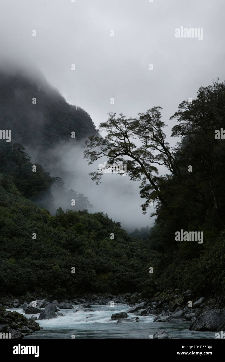 Haast river near Gates of Haast Otago South Island New Zealand Stock ...