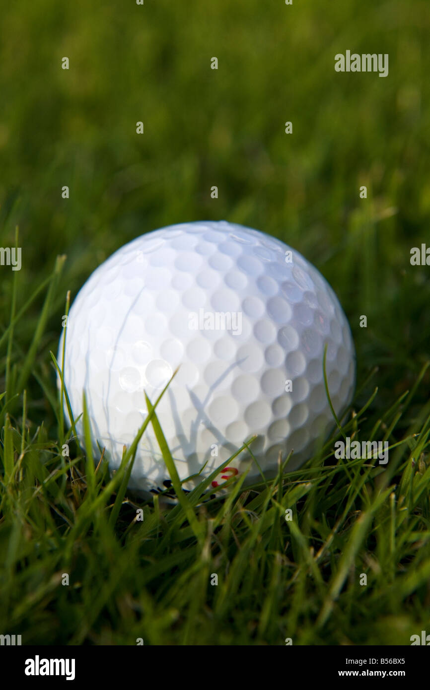 A golf ball on grass Stock Photo - Alamy