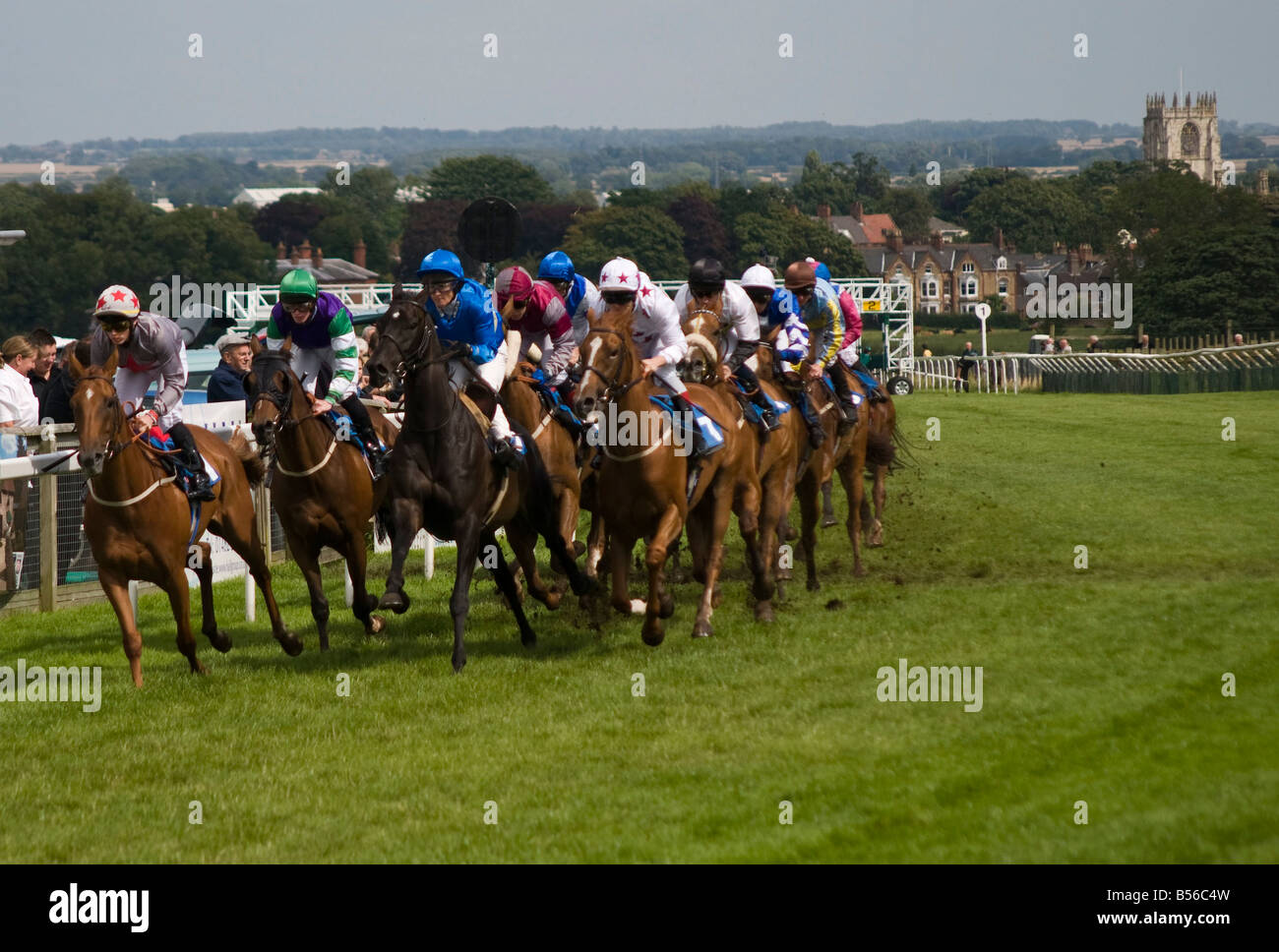 Thoroughbred racing on the Westwood, Beverley, UK Stock Photo - Alamy