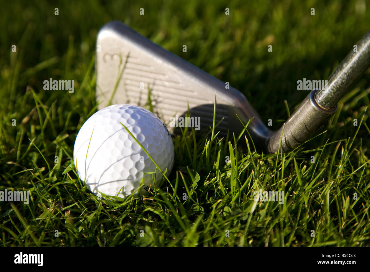 A dimpled golf ball sits on grass. An iron head can be seen behind the ...