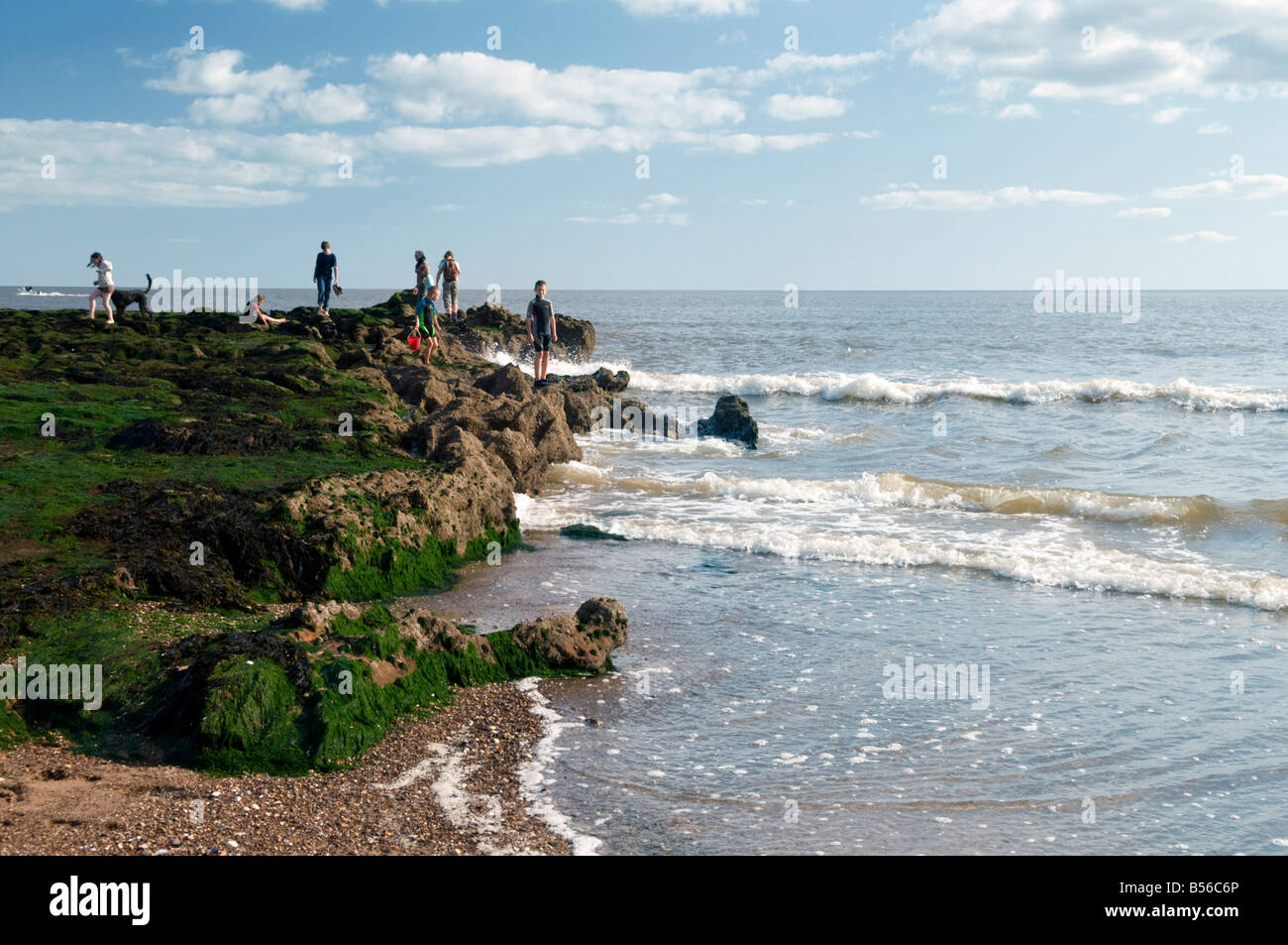 Exmouth beach coast hi-res stock photography and images - Alamy