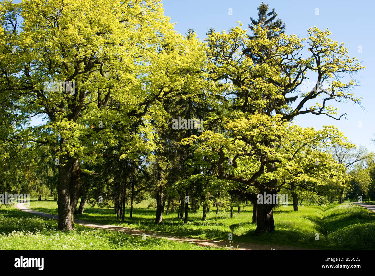 General view of parkland, Kadriorg Park, Tallinn, Estonia Stock Photo ...