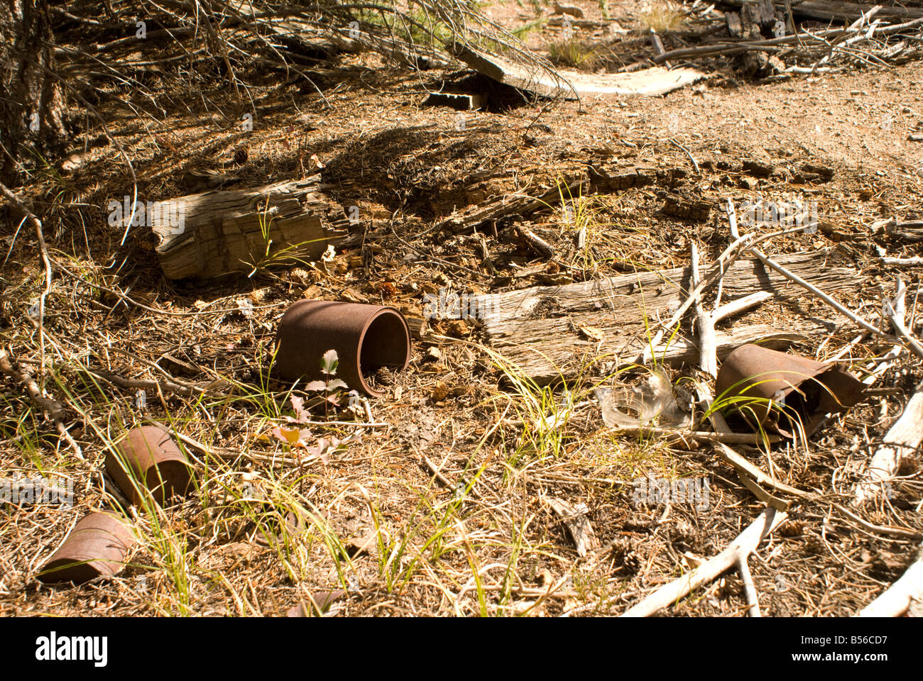 Detritus cycle hi-res stock photography and images - Alamy