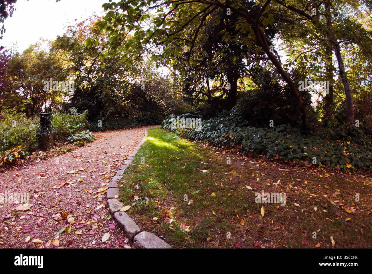 Autumn garden scene in Notting Hill, west London Stock Photo - Alamy