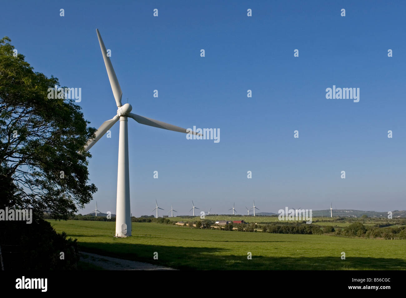 Wind power turbines, Trysglwyn Wind Farm, Anglesey producing ...