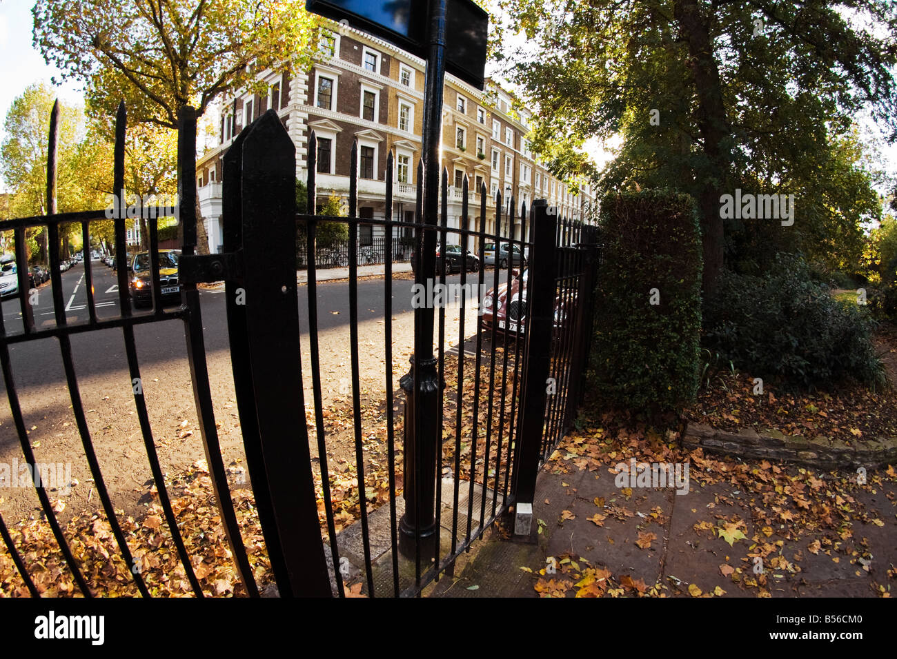 Autumn garden scene in Notting Hill, west London Stock Photo - Alamy