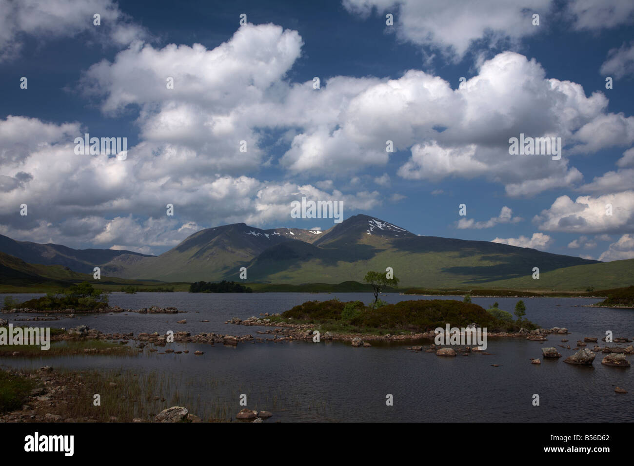 Rannoch moor famous tree hi-res stock photography and images - Alamy