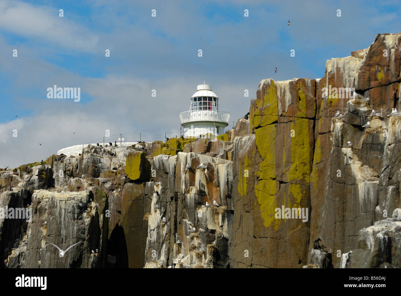 Inner Farne lighthouse, Farne Islands, Northumberland, England Stock ...