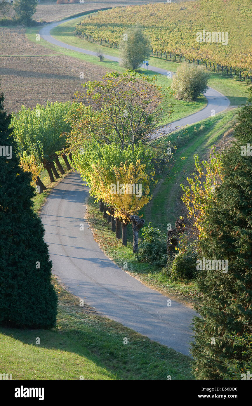 A road in the countryside hi-res stock photography and images - Alamy