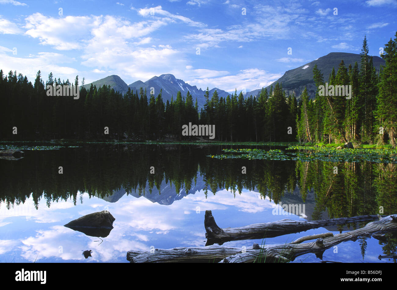 Forest lake in Colorado Rocky Mountains Stock Photo - Alamy