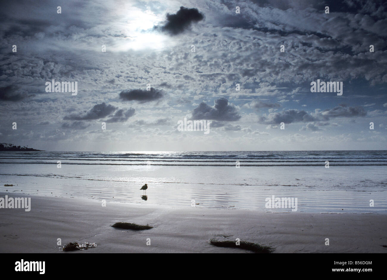 Empty san diego beach hi-res stock photography and images - Alamy