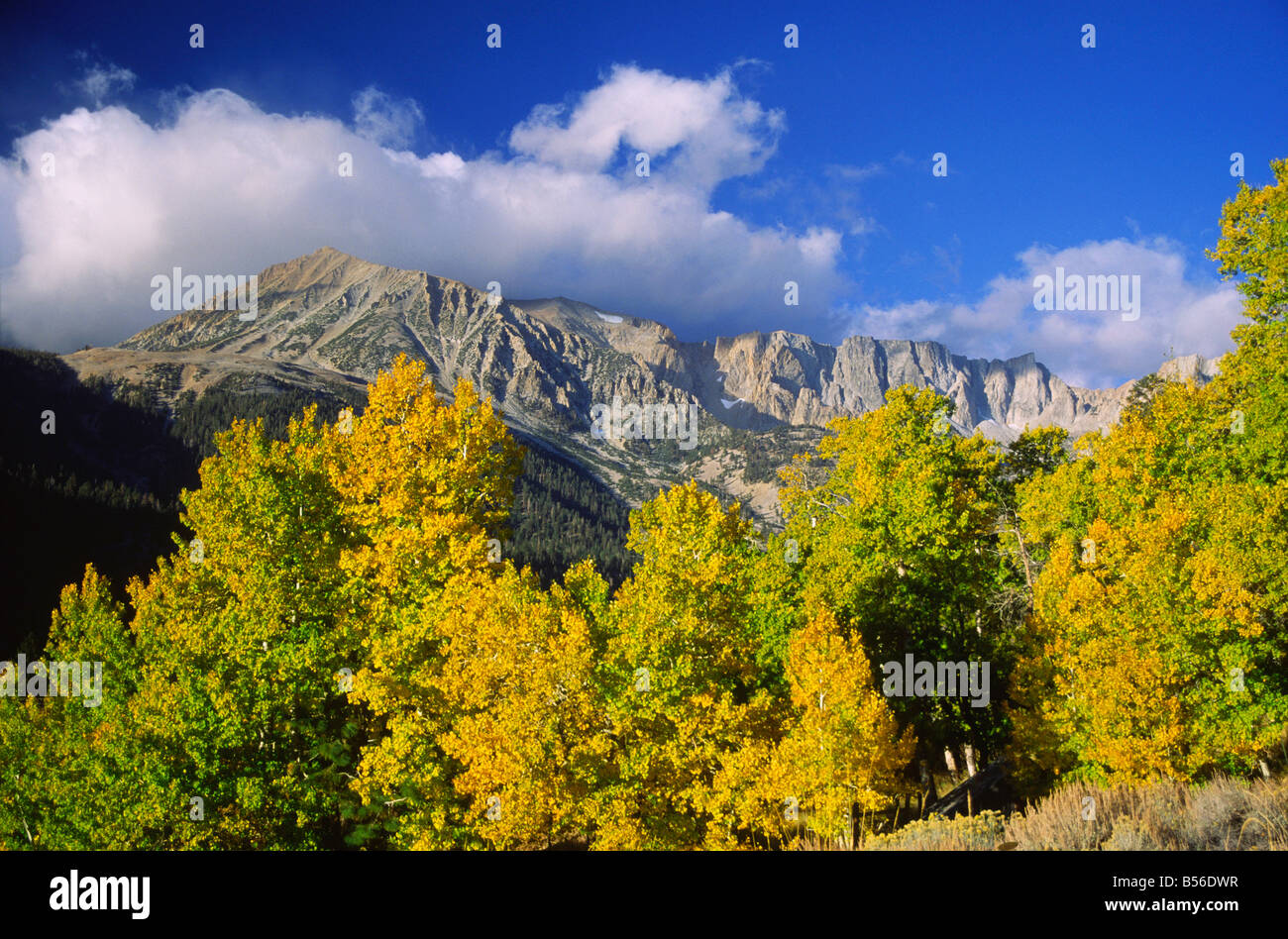 Autumn colors in Sierra Nevada mountains of California Stock Photo - Alamy