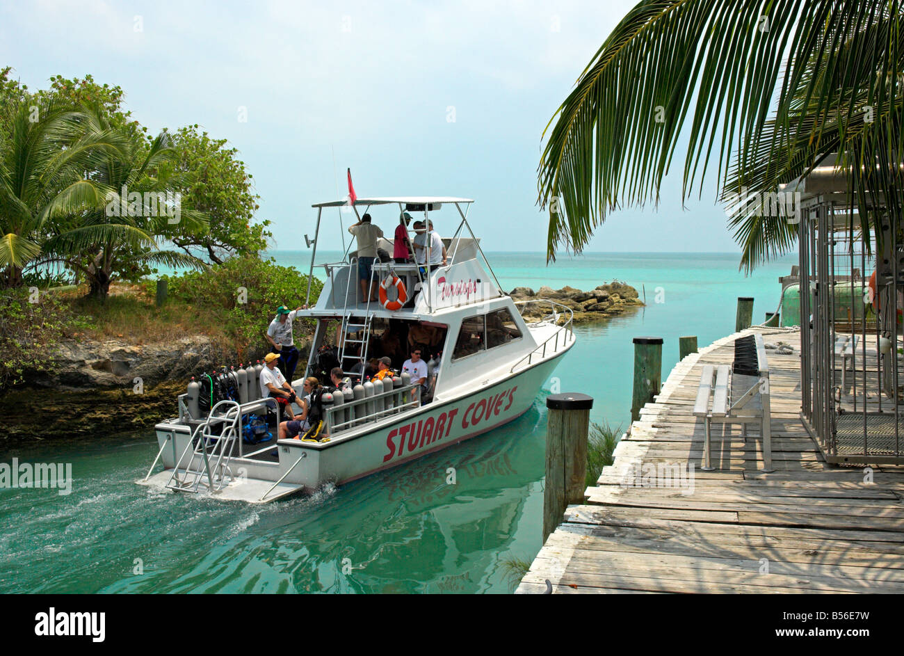 Stuart cove dive bahamas hi-res stock photography and images - Alamy