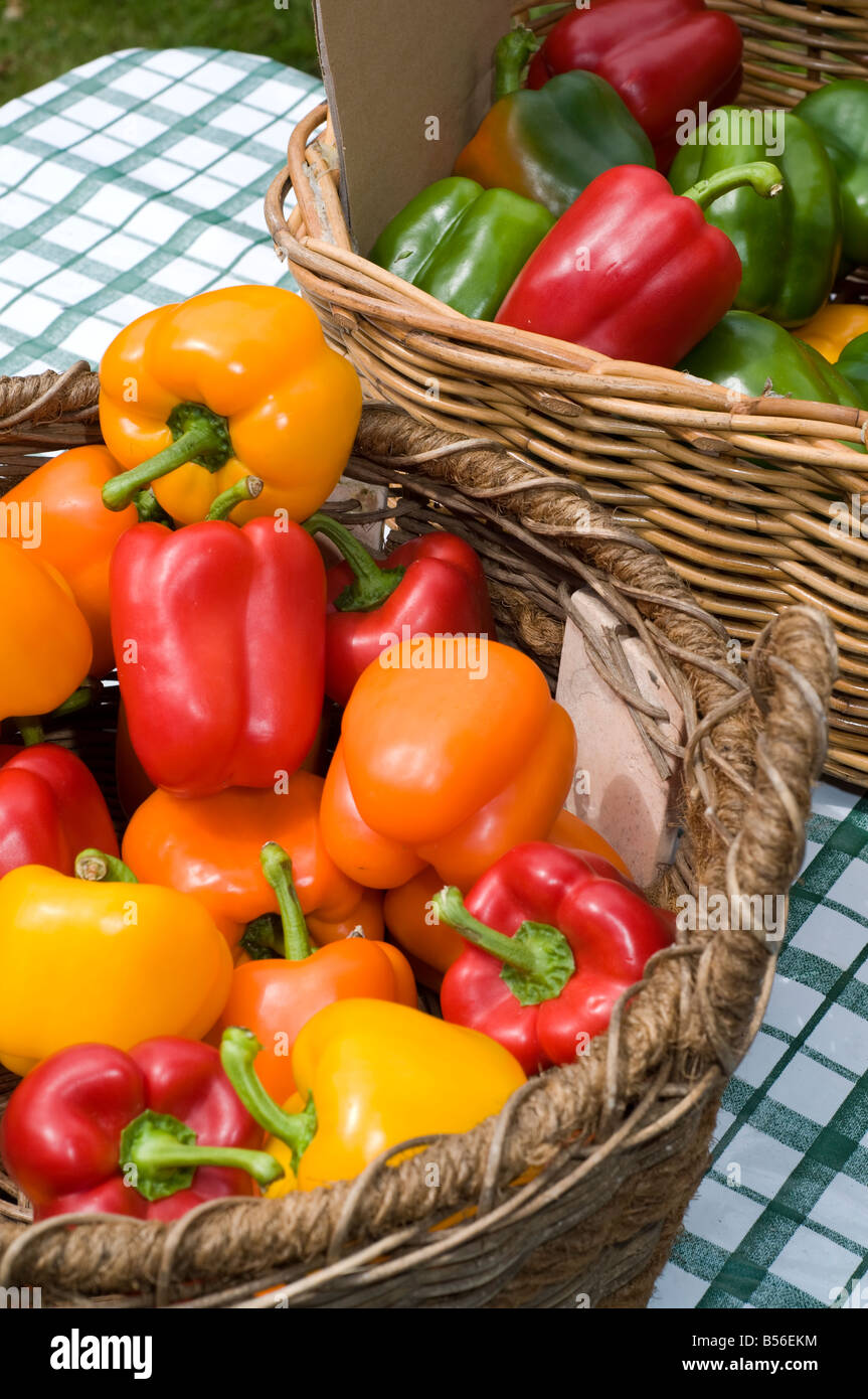 Basket full of peppers Stock Photo - Alamy
