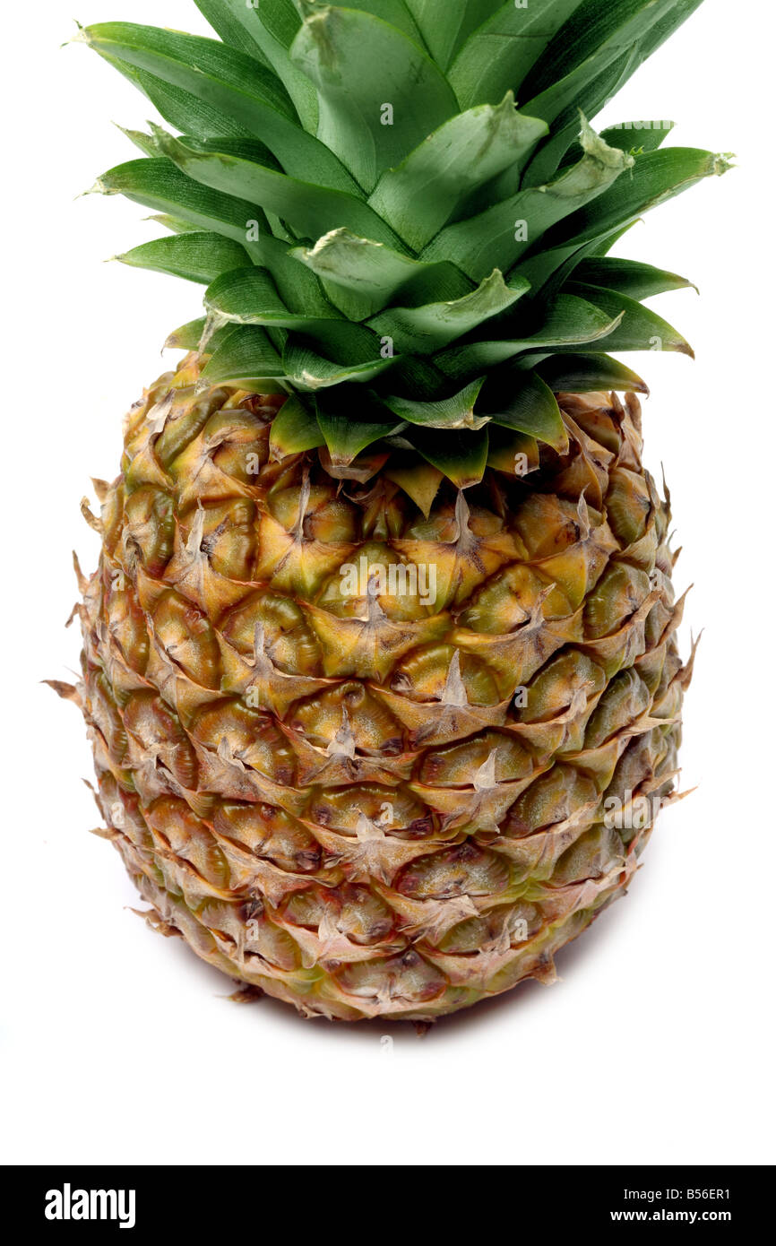 Close up photo of a Pineapple isolated on white Stock Photo - Alamy