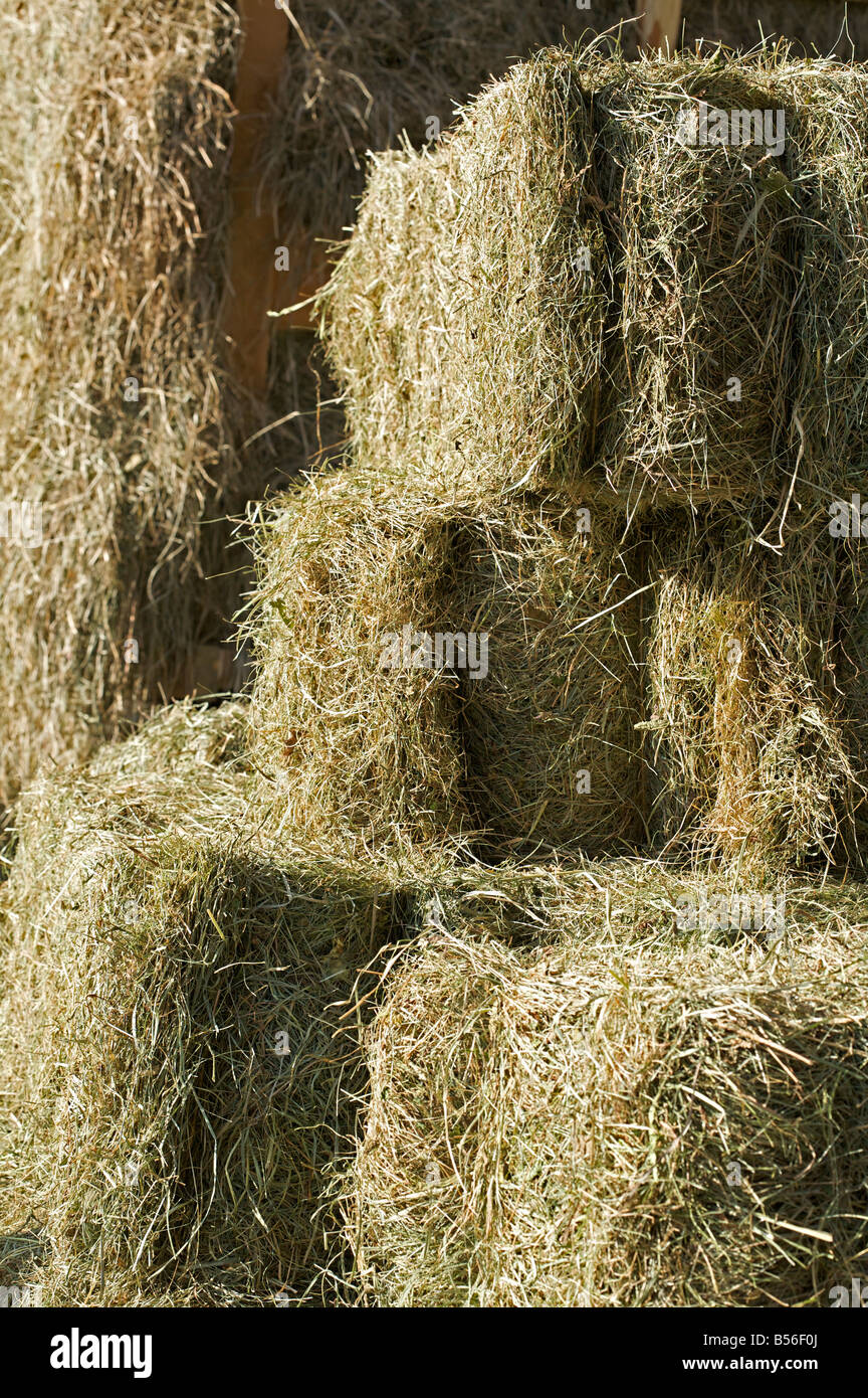Pressed bales hi-res stock photography and images - Alamy