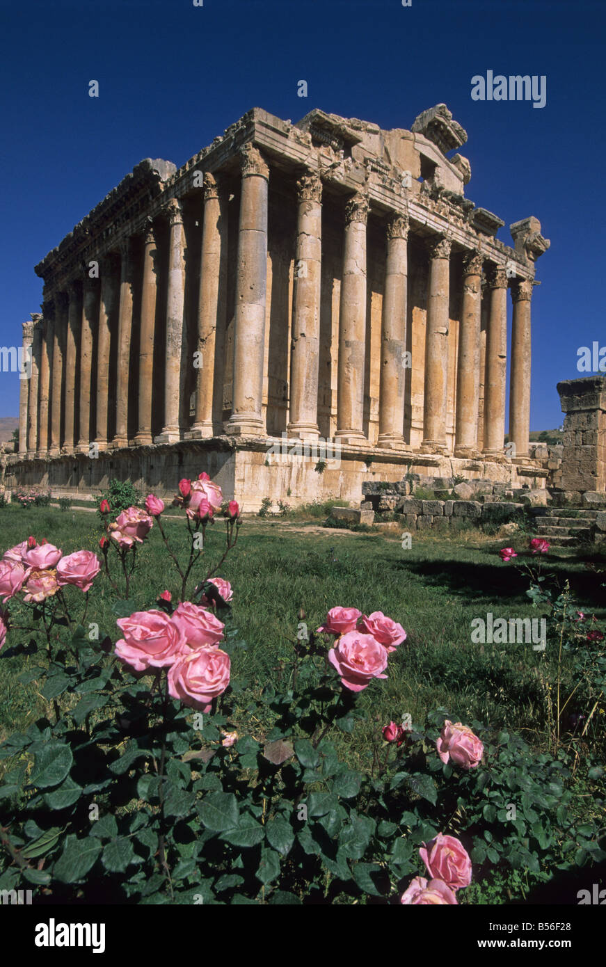 Roman temple bacchus baalbek lebanon hi-res stock photography and ...