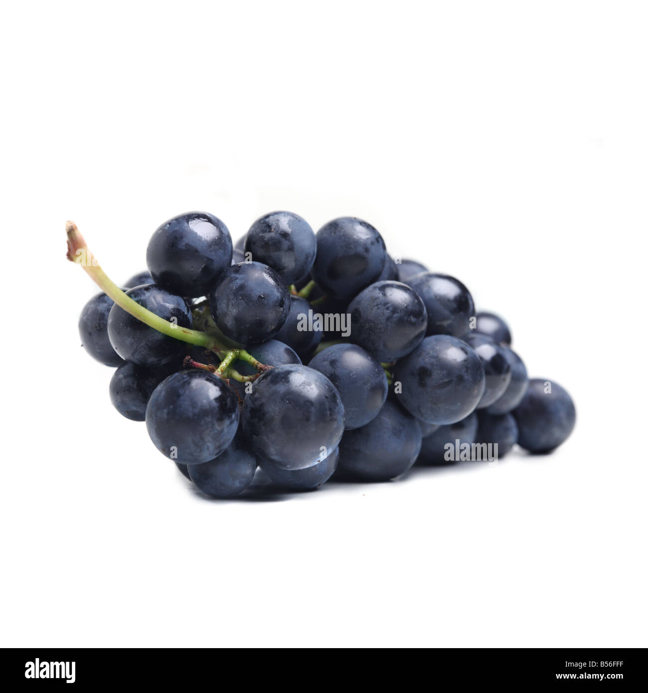 Blue grape cluster Stock Photo - Alamy