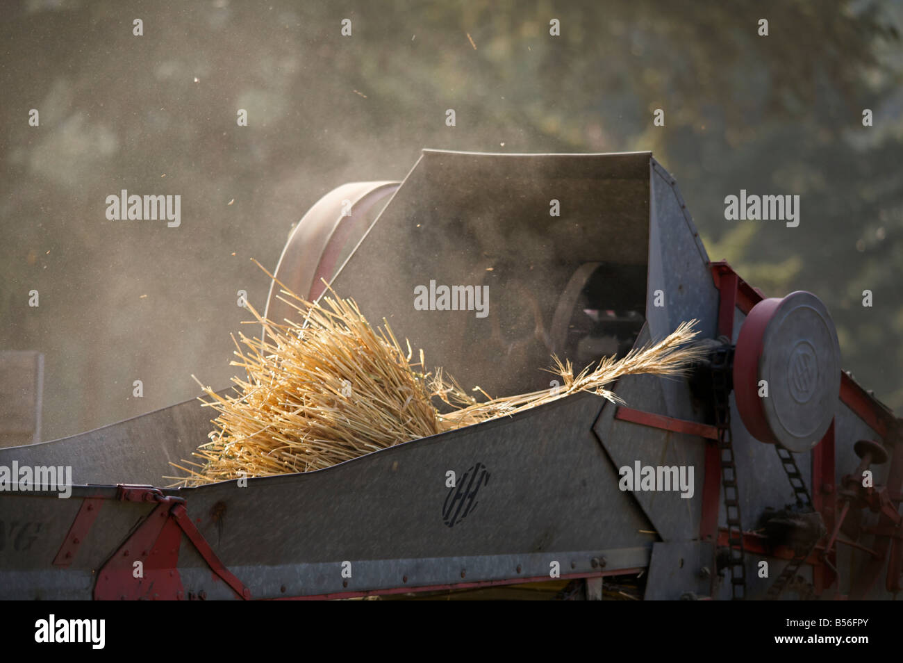 Steam powered threshing machine hi-res stock photography and images - Alamy