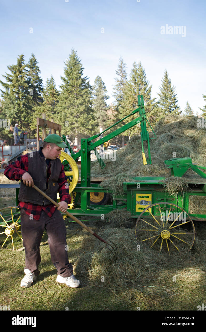 Hay forking hi-res stock photography and images - Alamy