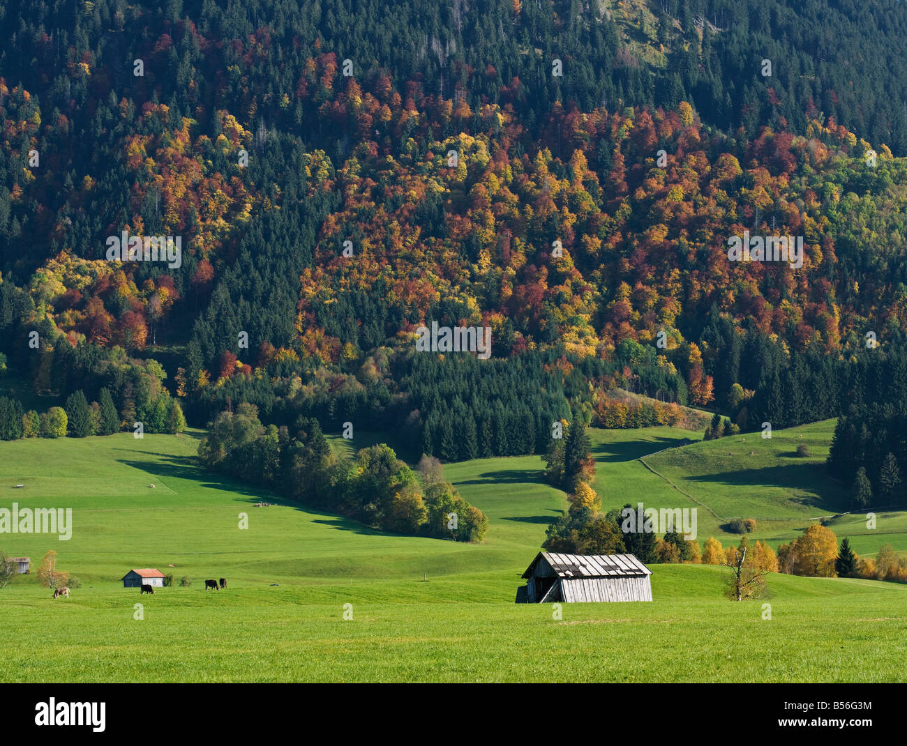 Old wooden barn bavaria germany hi-res stock photography and images - Alamy