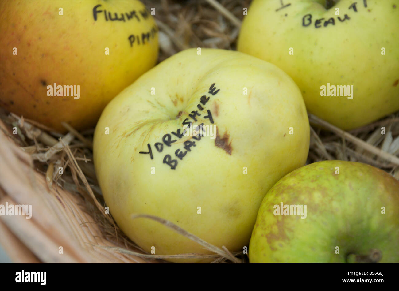 Exhibition orchard hi-res stock photography and images - Alamy
