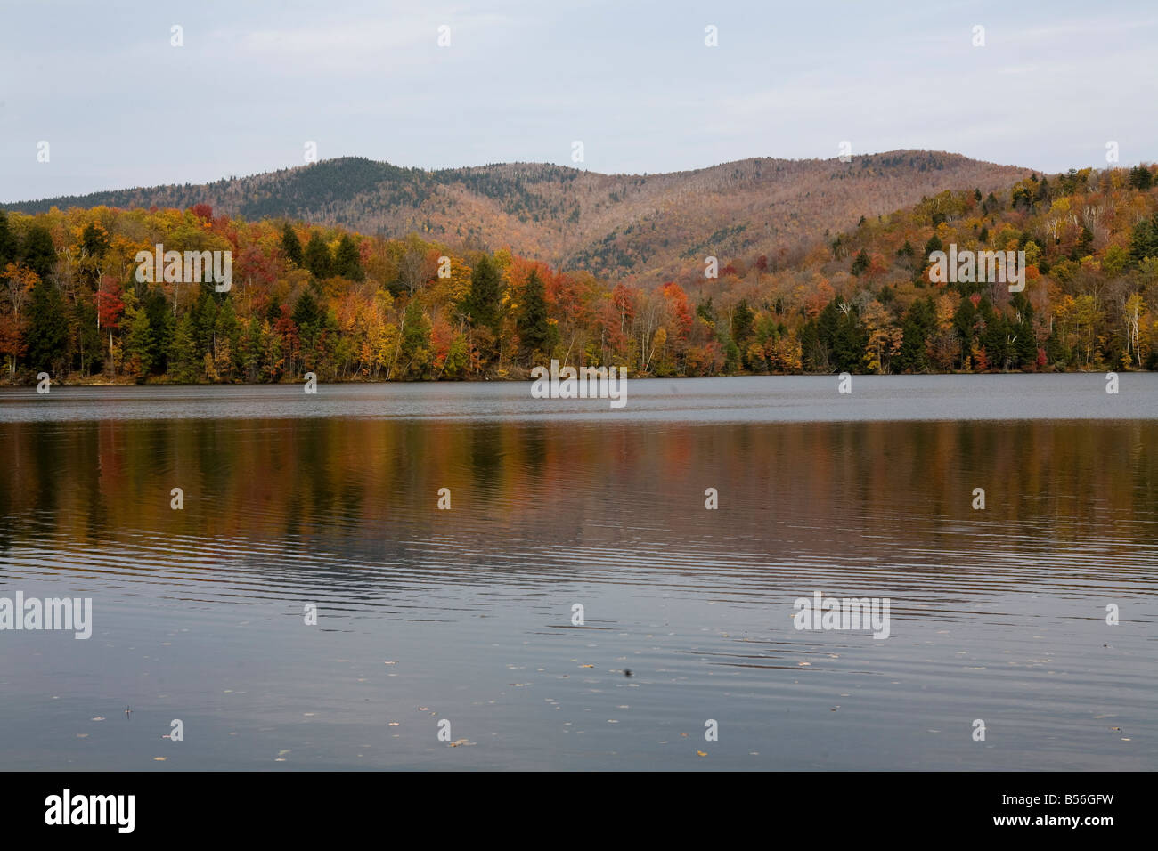 Fall foliage New England Killinton Vermont Stock Photo - Alamy