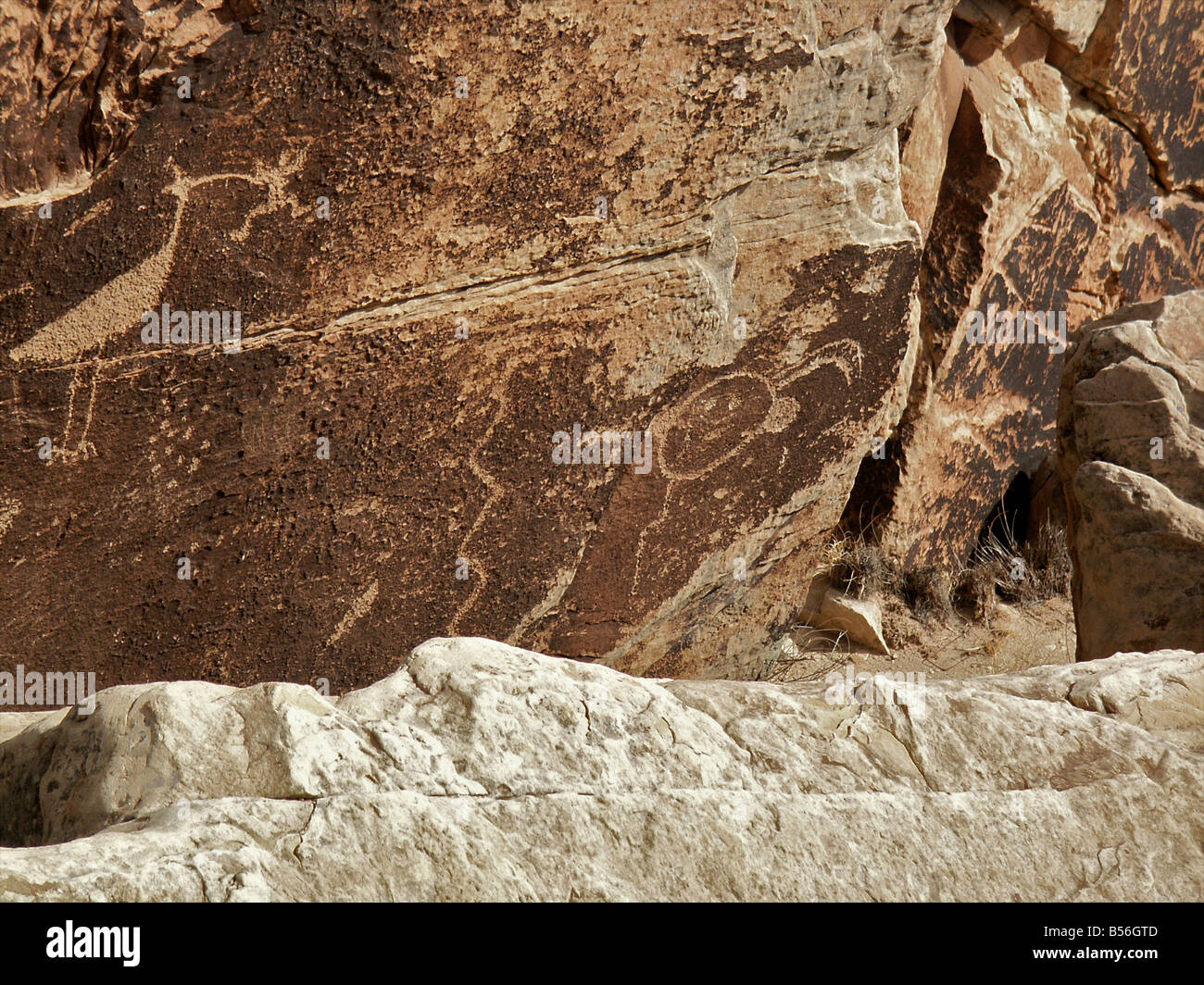 Petroglyphs in Petrified Forest National Park, Arizona, USA Stock Photo ...