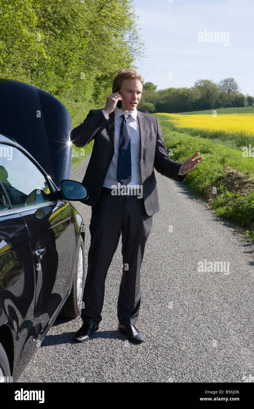 Automobile cells hi-res stock photography and images - Alamy