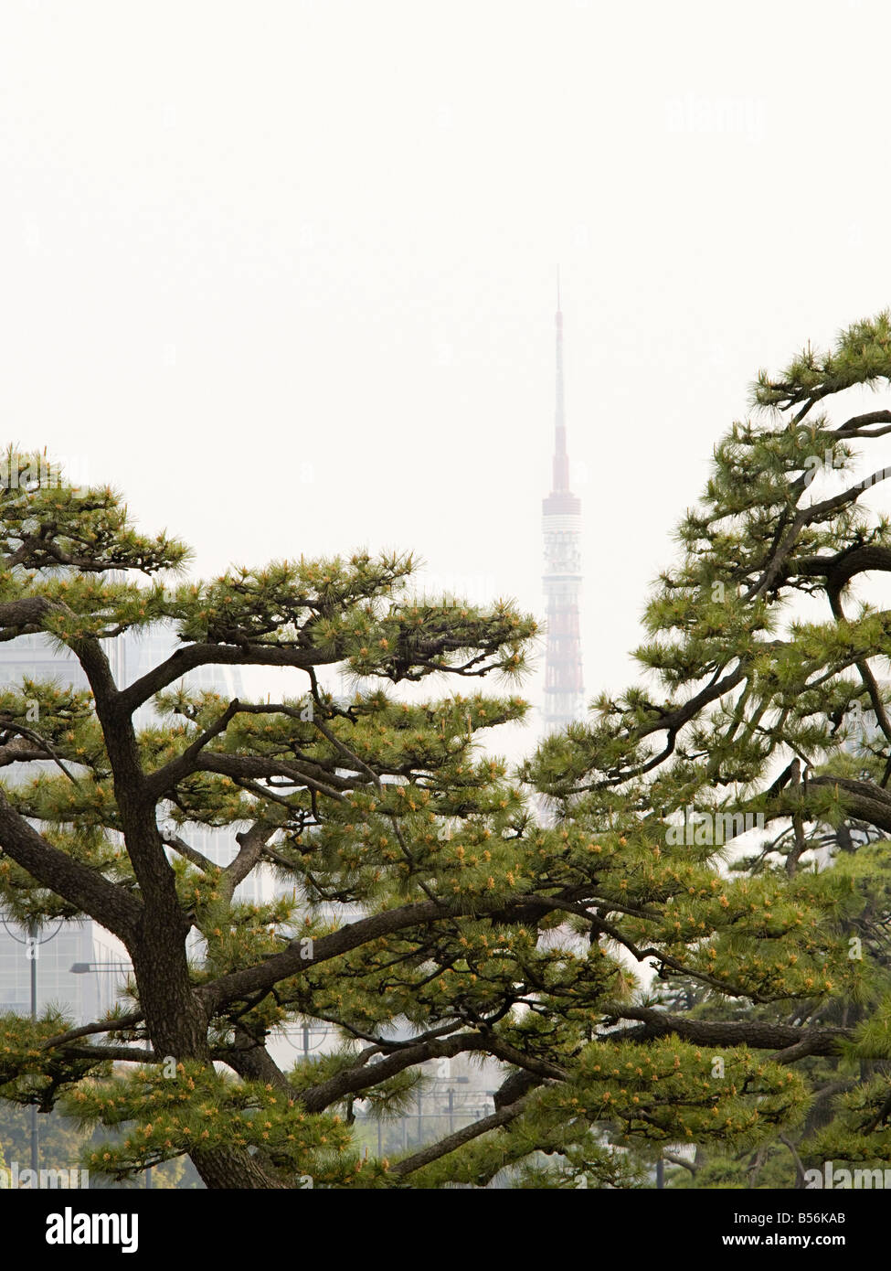 Trees and tokyo tower Stock Photo - Alamy