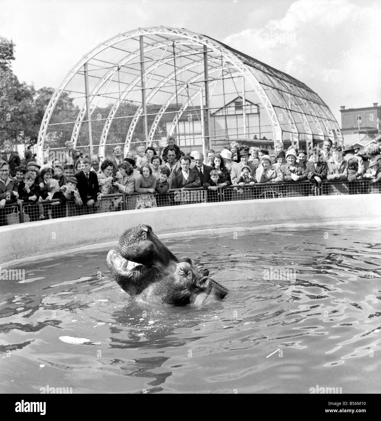 Belle vue zoo manchester hi-res stock photography and images - Alamy