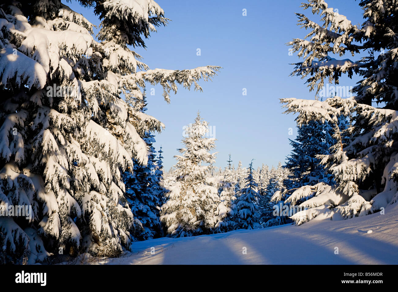 Lighting Scene High Resolution Stock Photography and Images - Alamy