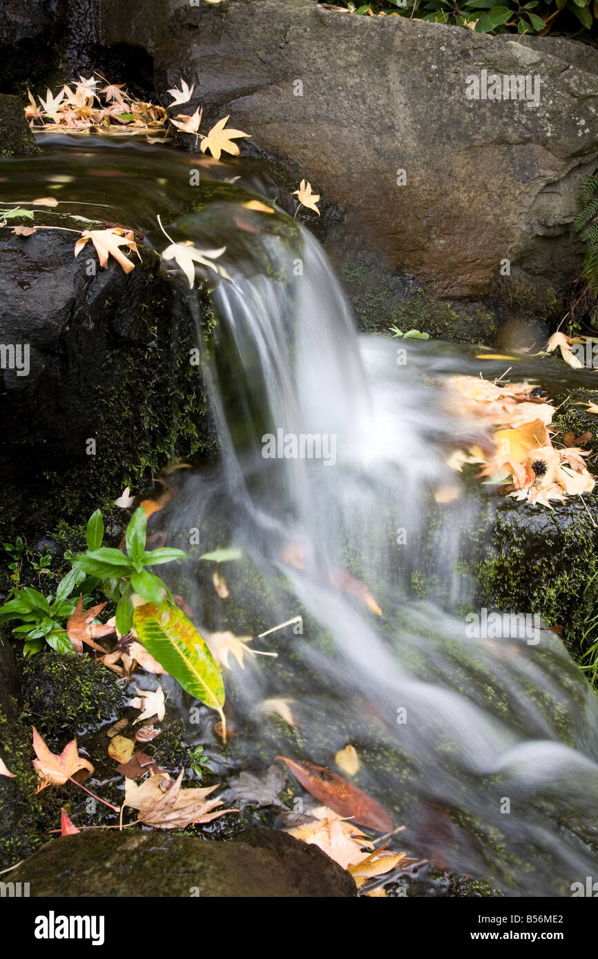 Autumn leaves and a waterfall Stock Photo - Alamy