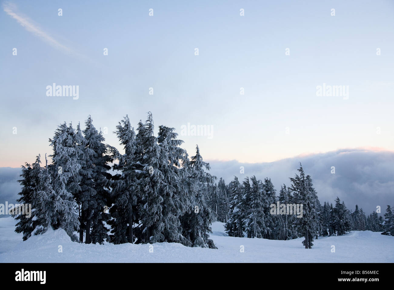 Peaceful winter scene at sunset hi-res stock photography and images - Alamy