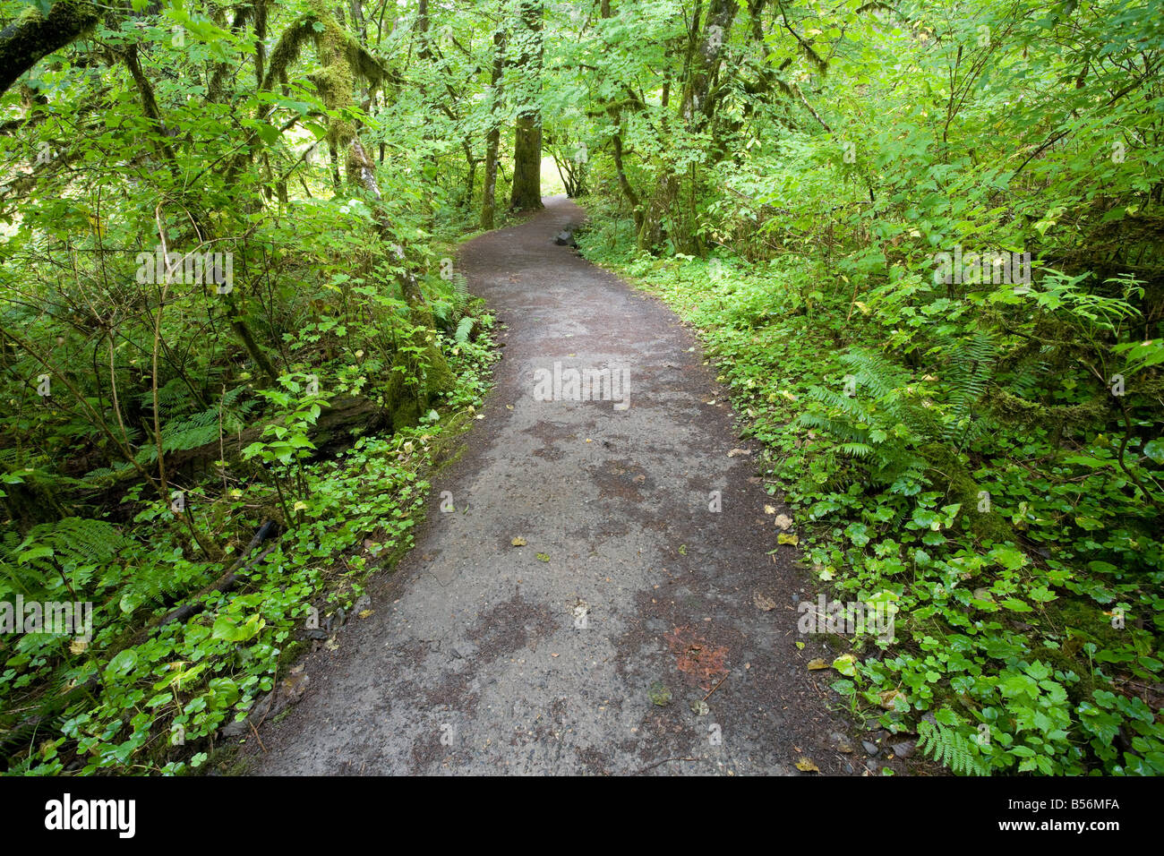 Country path hi-res stock photography and images - Alamy