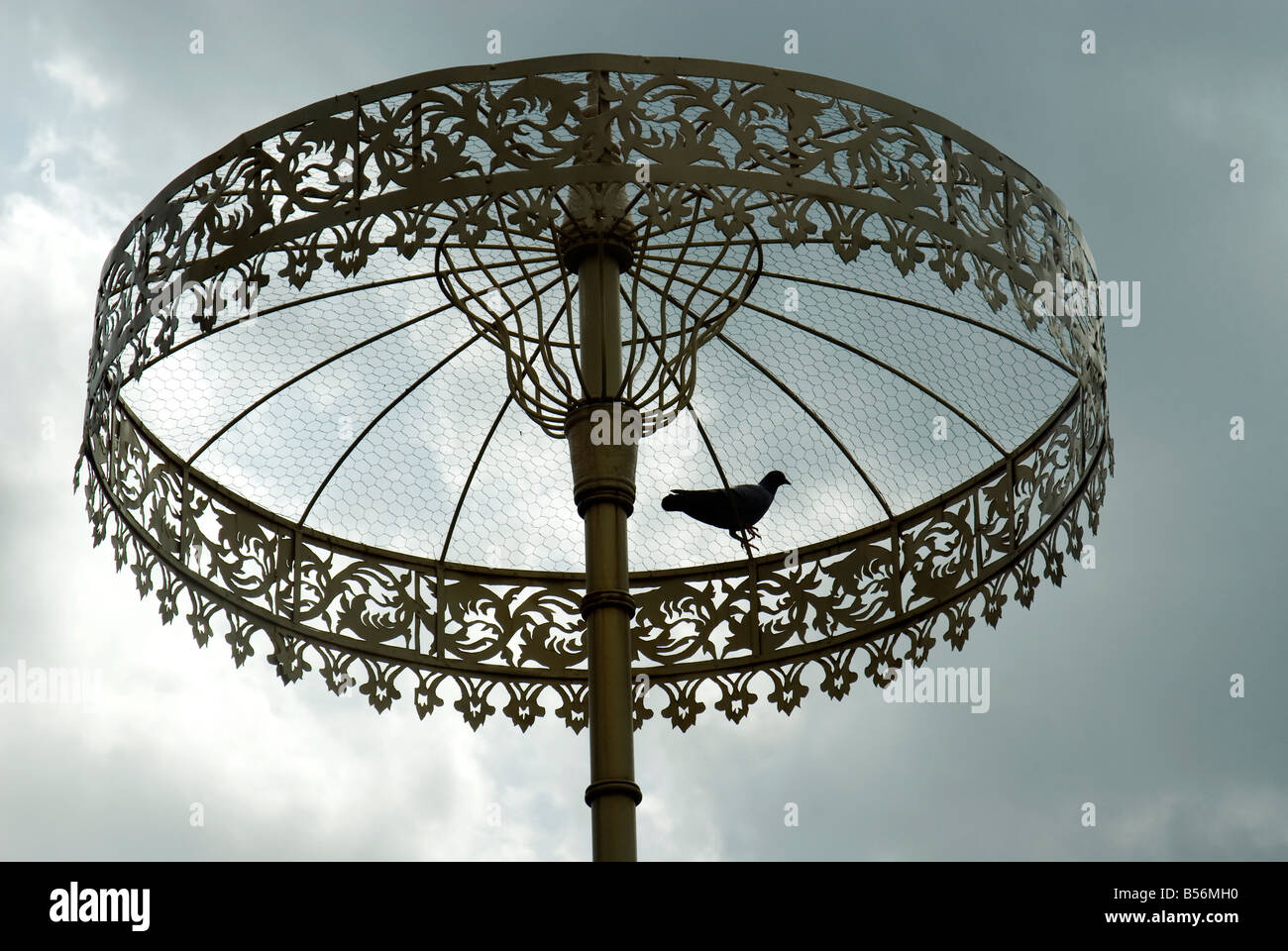 Bird resting on parasol Stock Photo - Alamy